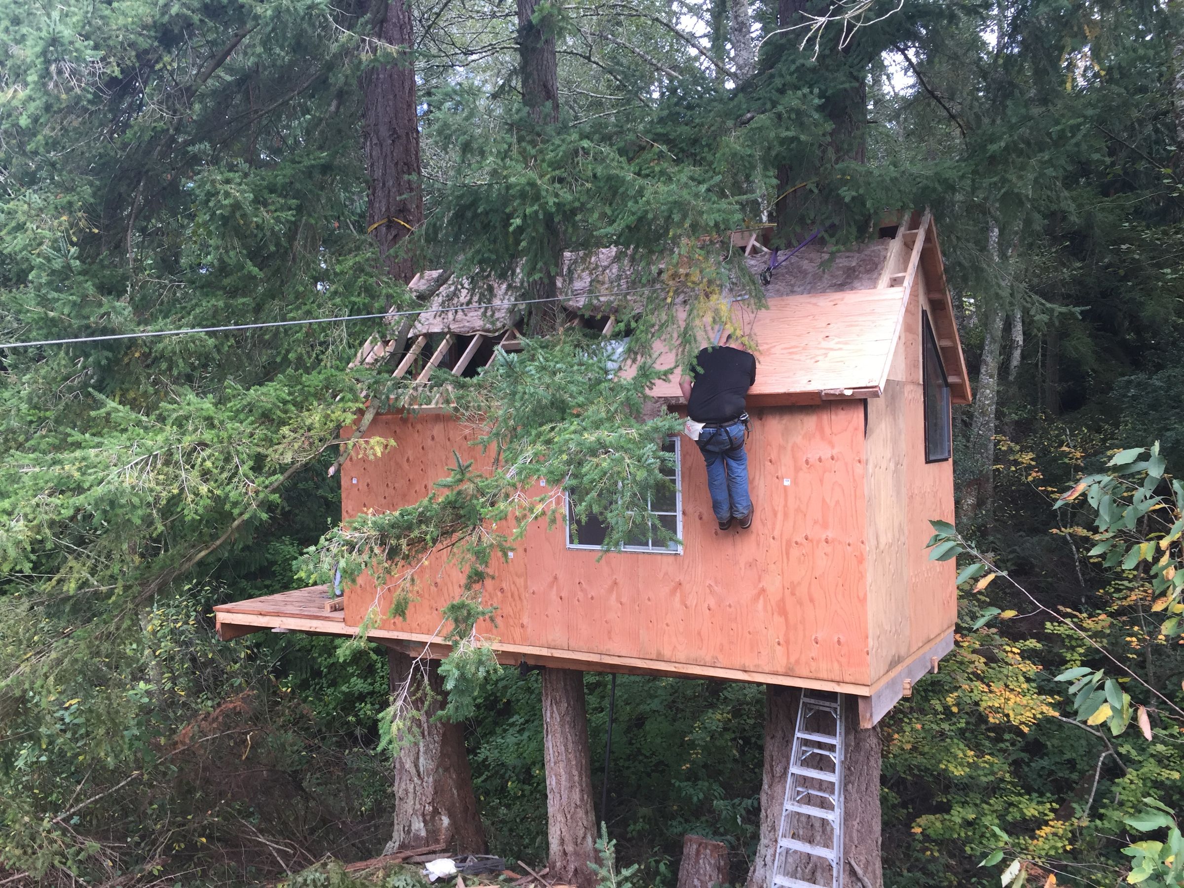 Treehouse Build : 10 Steps (with Pictures) - Instructables