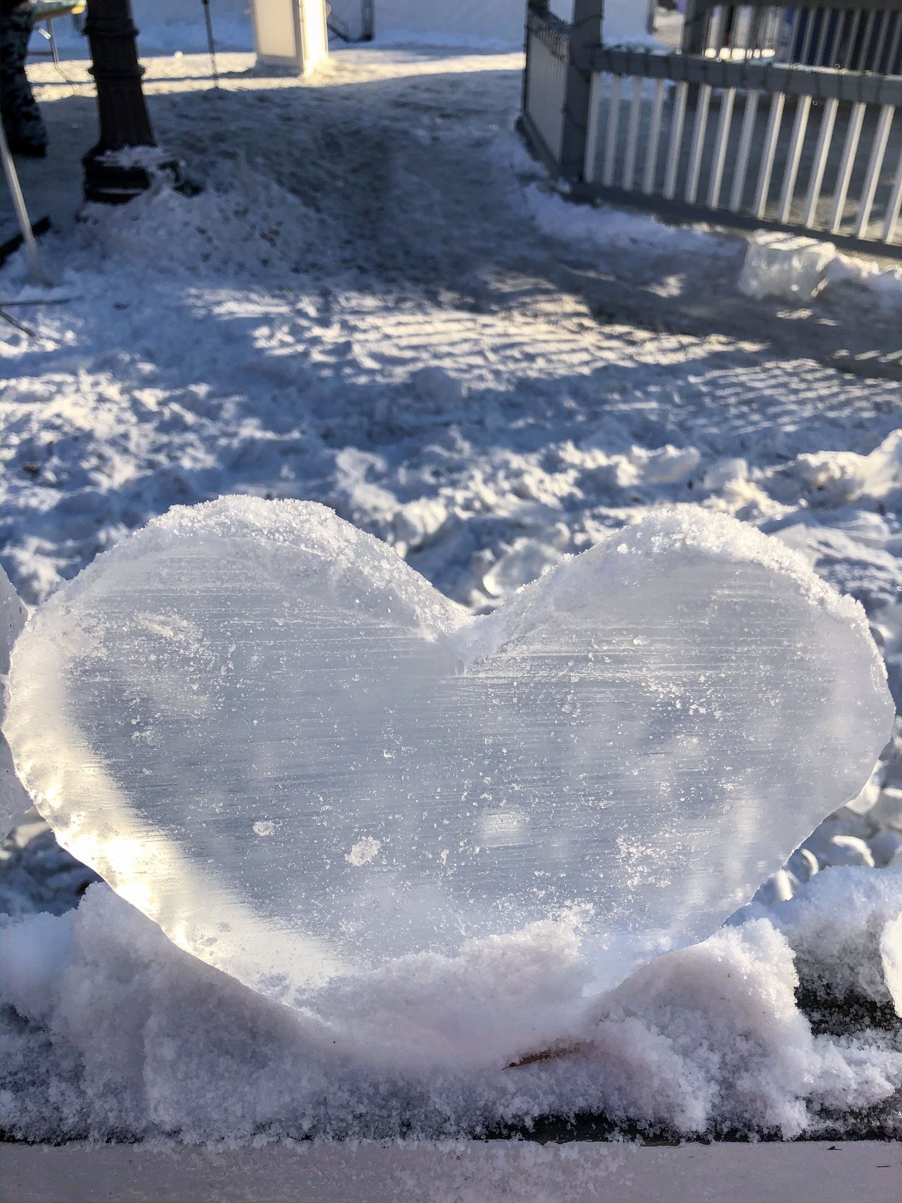 Beginner Ice Carving : 4 Steps - Instructables