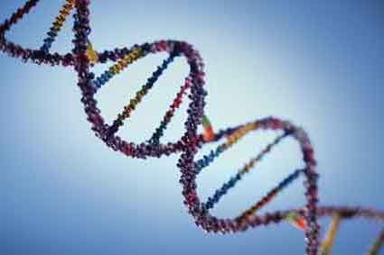 How to Extract Dino DNA : 5 Steps - Instructables