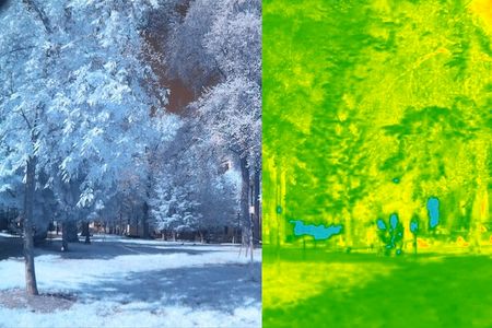 DIY Infrared Plant Analysis : 5 Steps - Instructables