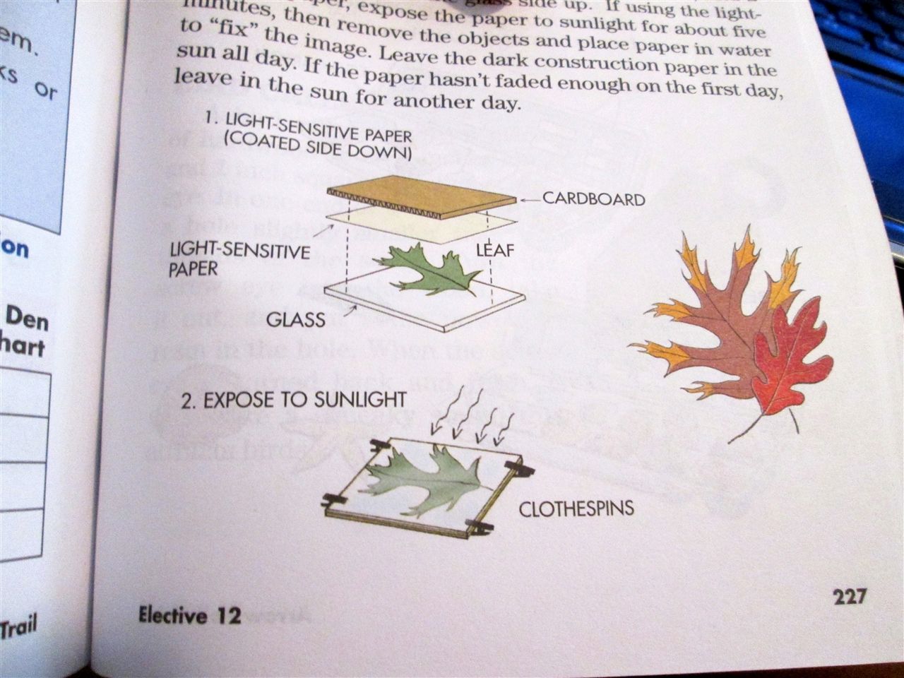 DIY Construction Paper Solar Prints : 6 Steps (with Pictures ...