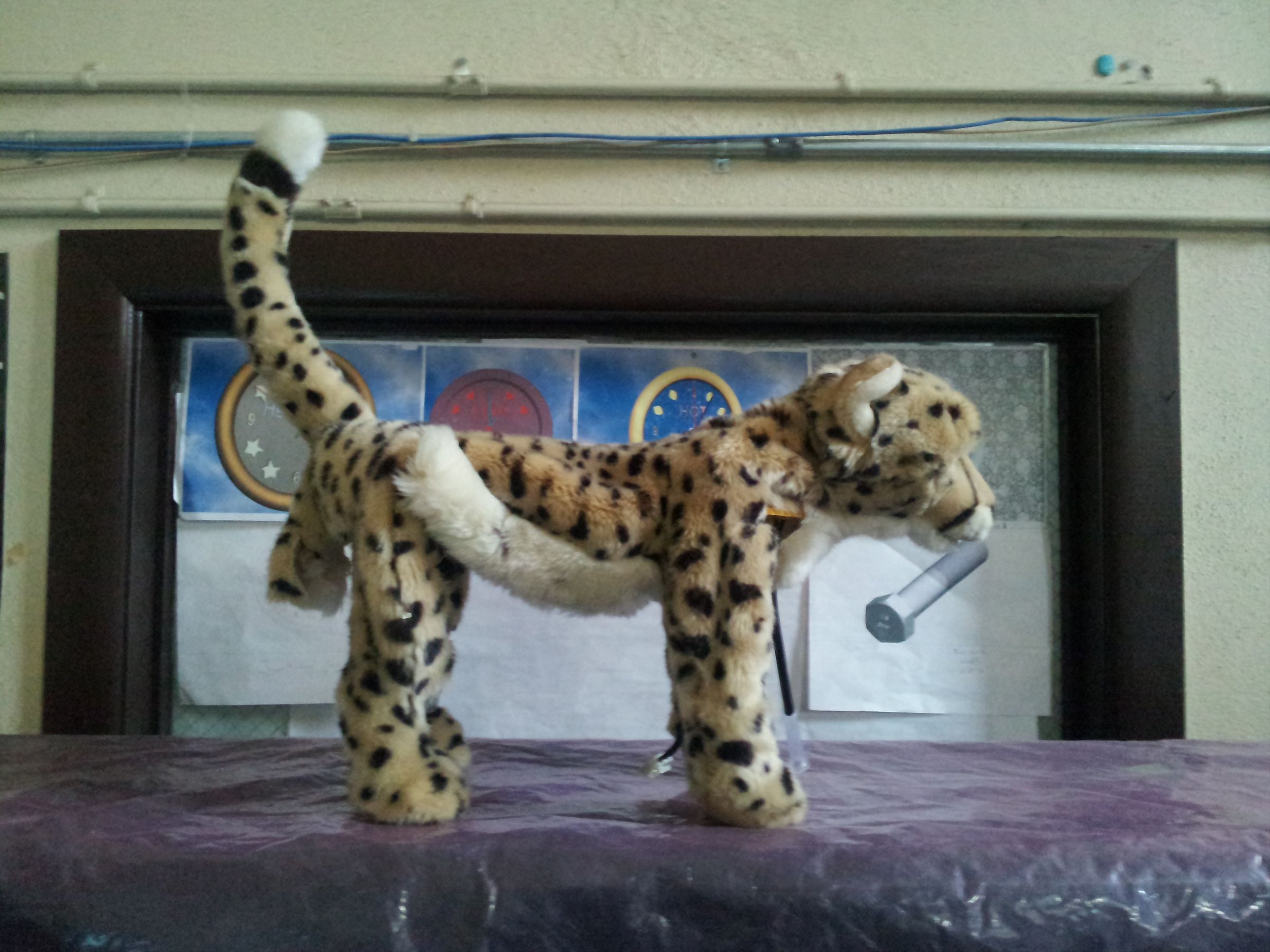 How to Make Your Own Robot Cheetah : 11 Steps (with Pictures ...