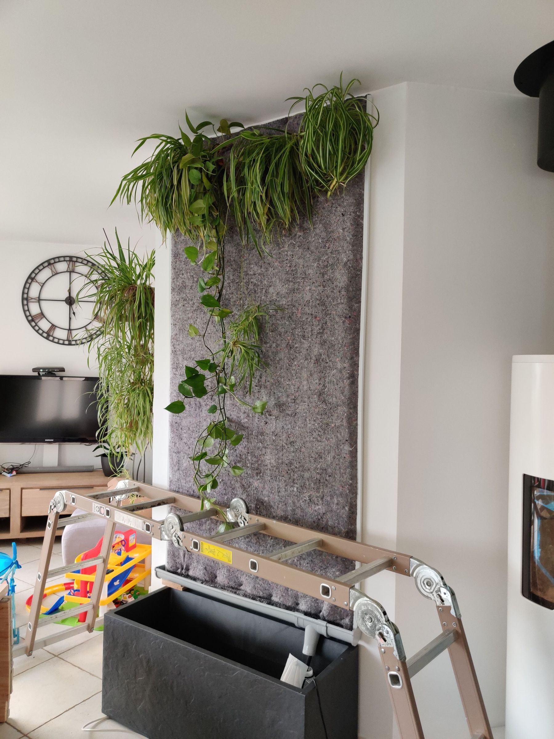 Indoor Green Wall : 5 Steps (with Pictures) - Instructables