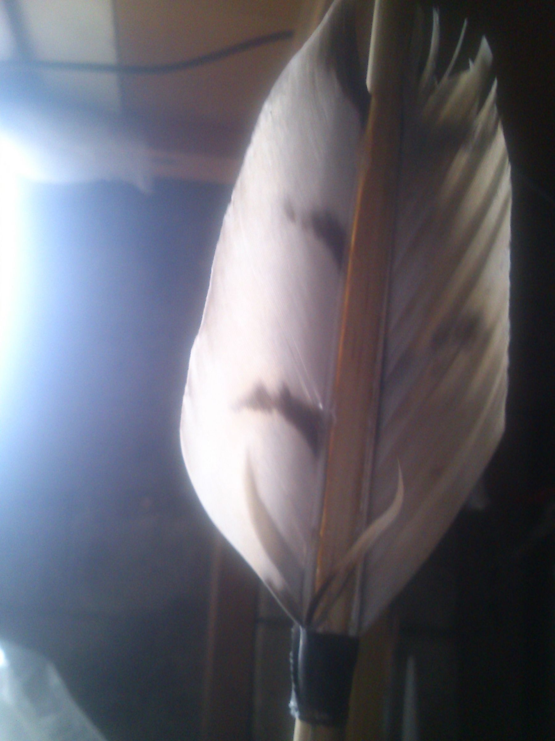 D.i.Y Arrow : 6 Steps - Instructables
