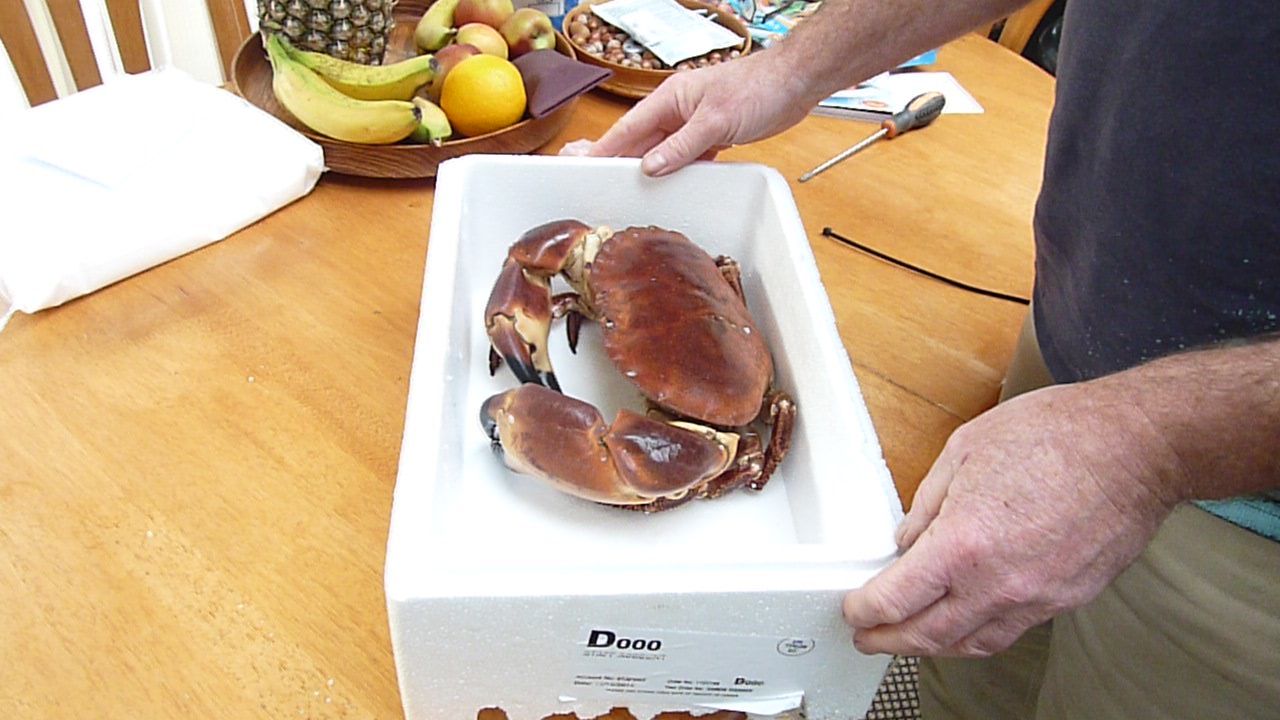 Live Crab How to Kill Instantly and Humanely Cooking Dressing and ...