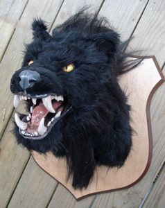 Halloween Decor Werewolf Head : 7 Steps (with Pictures) - Instructables