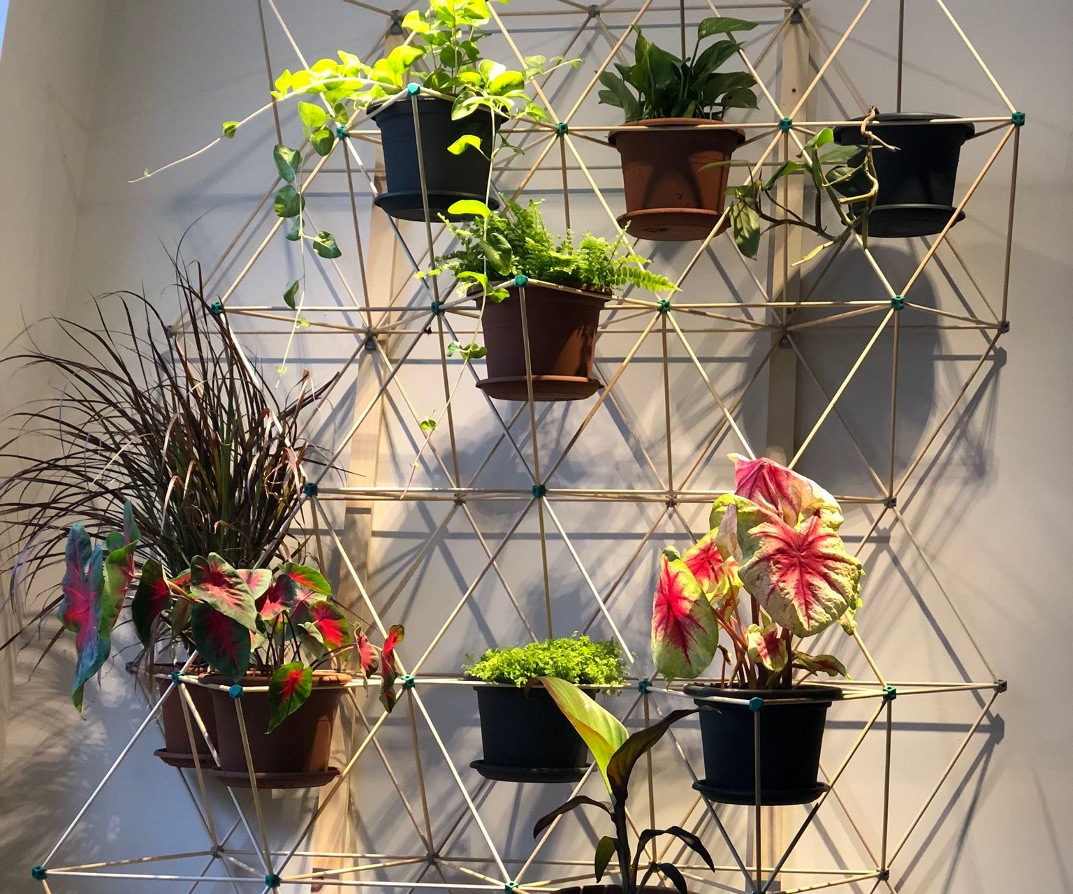 Green Wall Lattice : 8 Steps (with Pictures) - Instructables