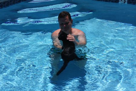How to Teach a Cat to Swim. : 8 Steps (with Pictures) - Instructables