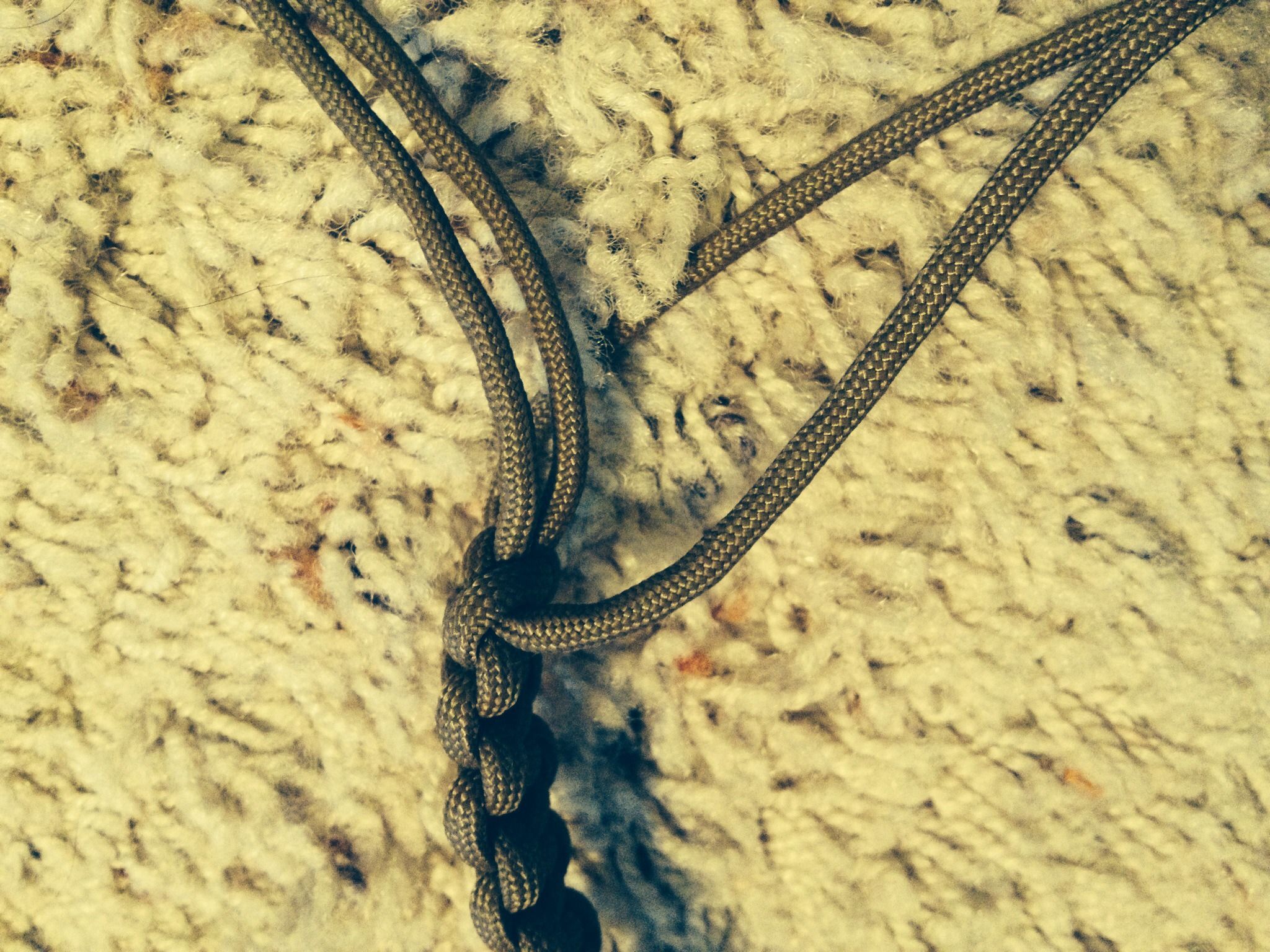 Paracord Dog Leash : 10 Steps (with Pictures) - Instructables