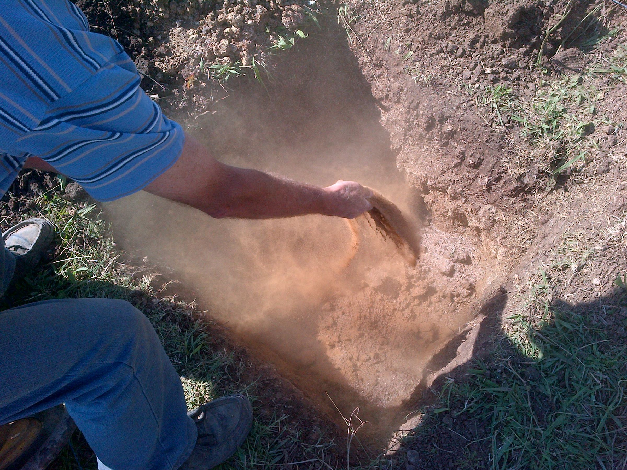 Planting Tree Ellen White Way (EGW) : 11 Steps - Instructables