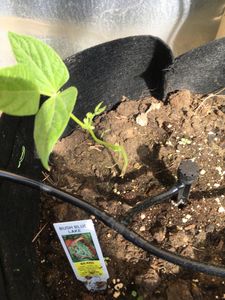 Automated Greenhouse With Arduino Mega : 5 Steps (with Pictures ...