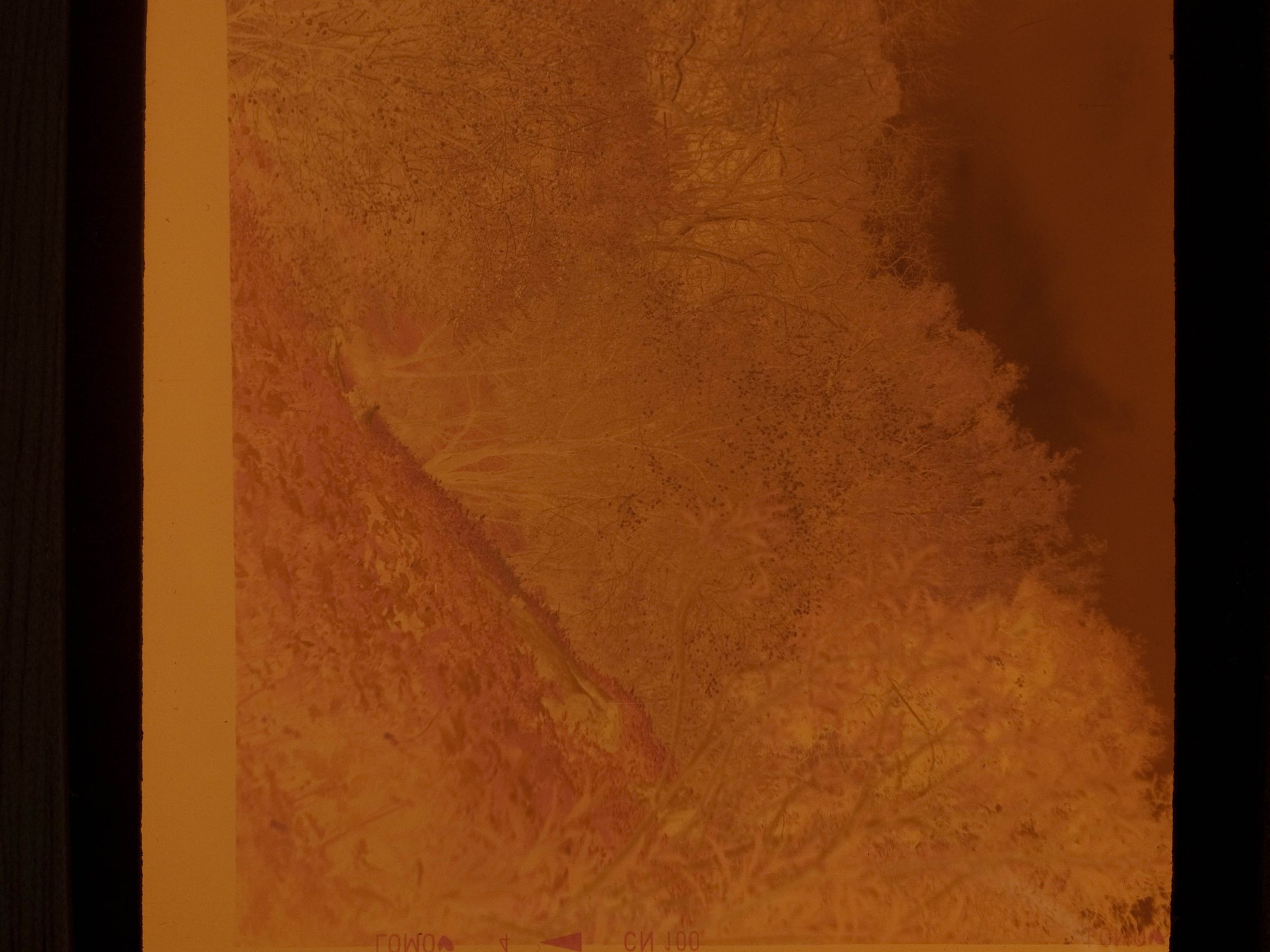 How to Digitize Slides and Film Negatives With a DSLR : 12 Steps (with ...