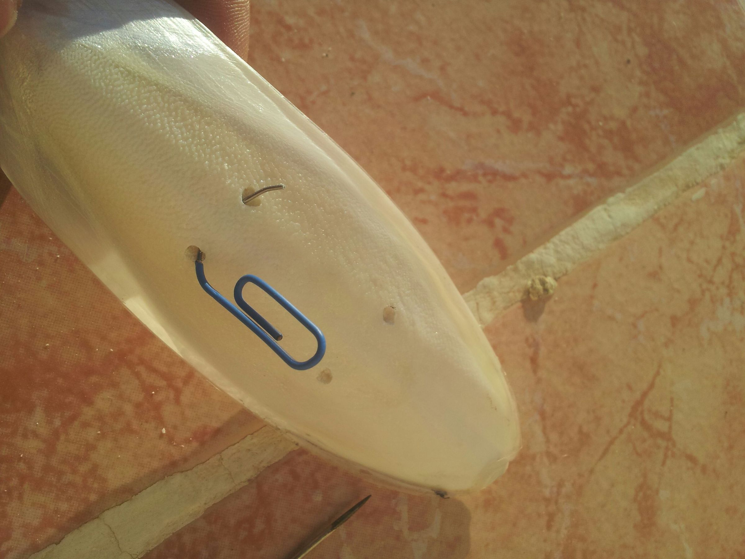 Zip Tie Cuttlebone Holder for Birds : 6 Steps - Instructables