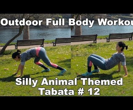 Fun Animal Themed Full Body Tabata - Instructables