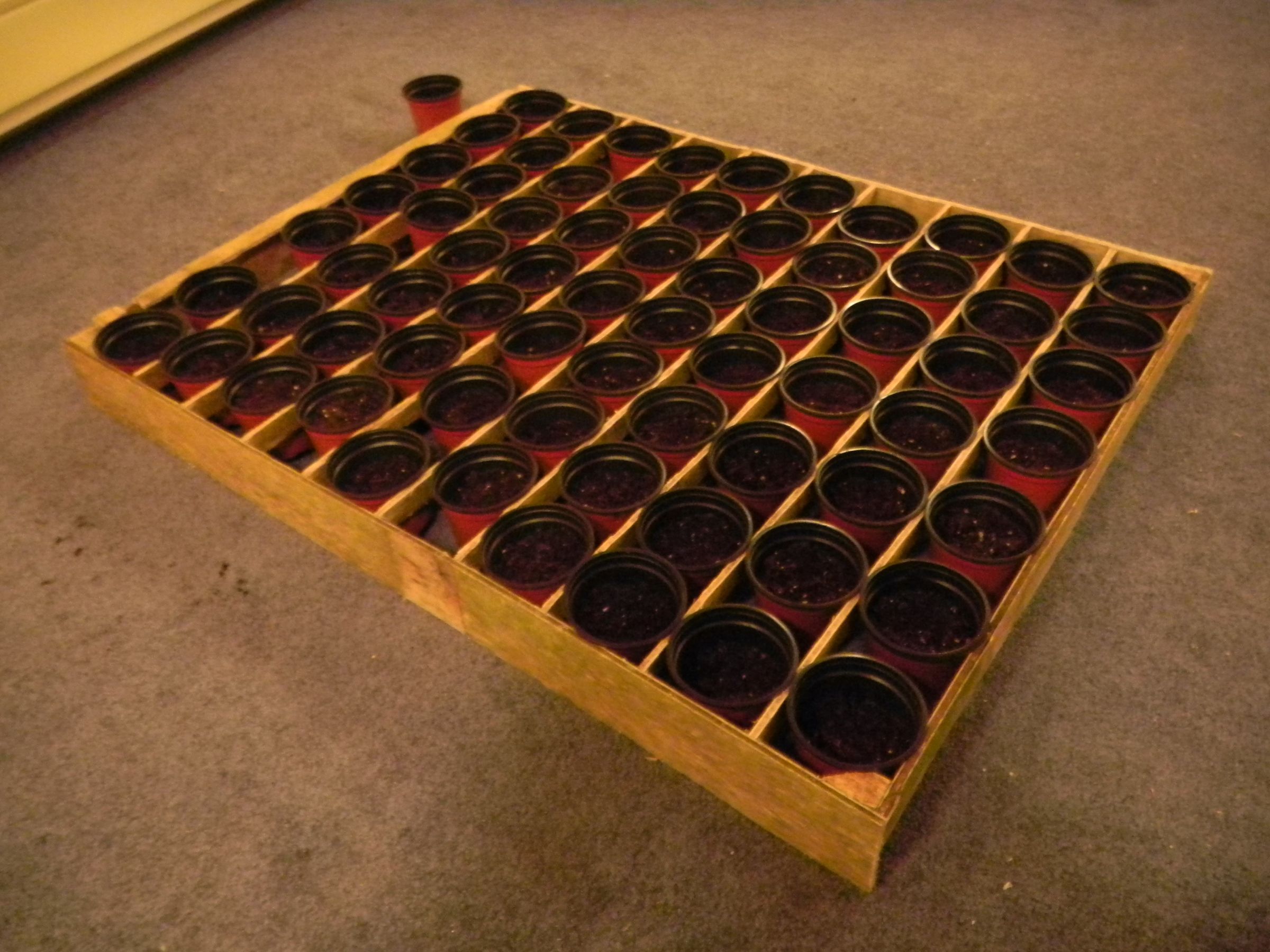 DIY Indoor Seed Starting System : 5 Steps (with Pictures) - Instructables