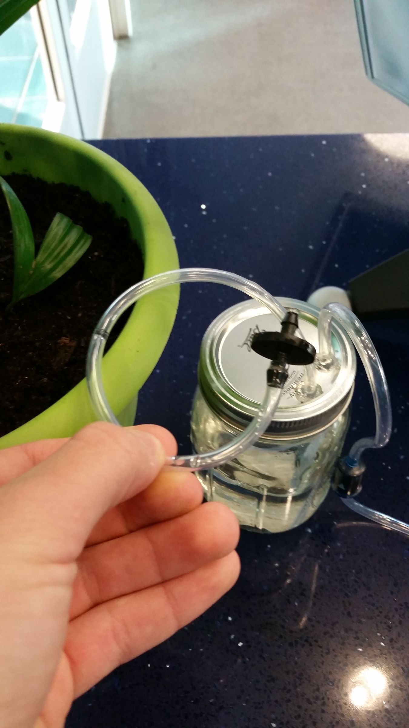 Indoor Automatic Plant Watering System : 7 Steps (with Pictures ...