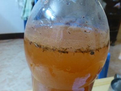 How to Purify Muddy Water : 7 Steps (with Pictures) - Instructables