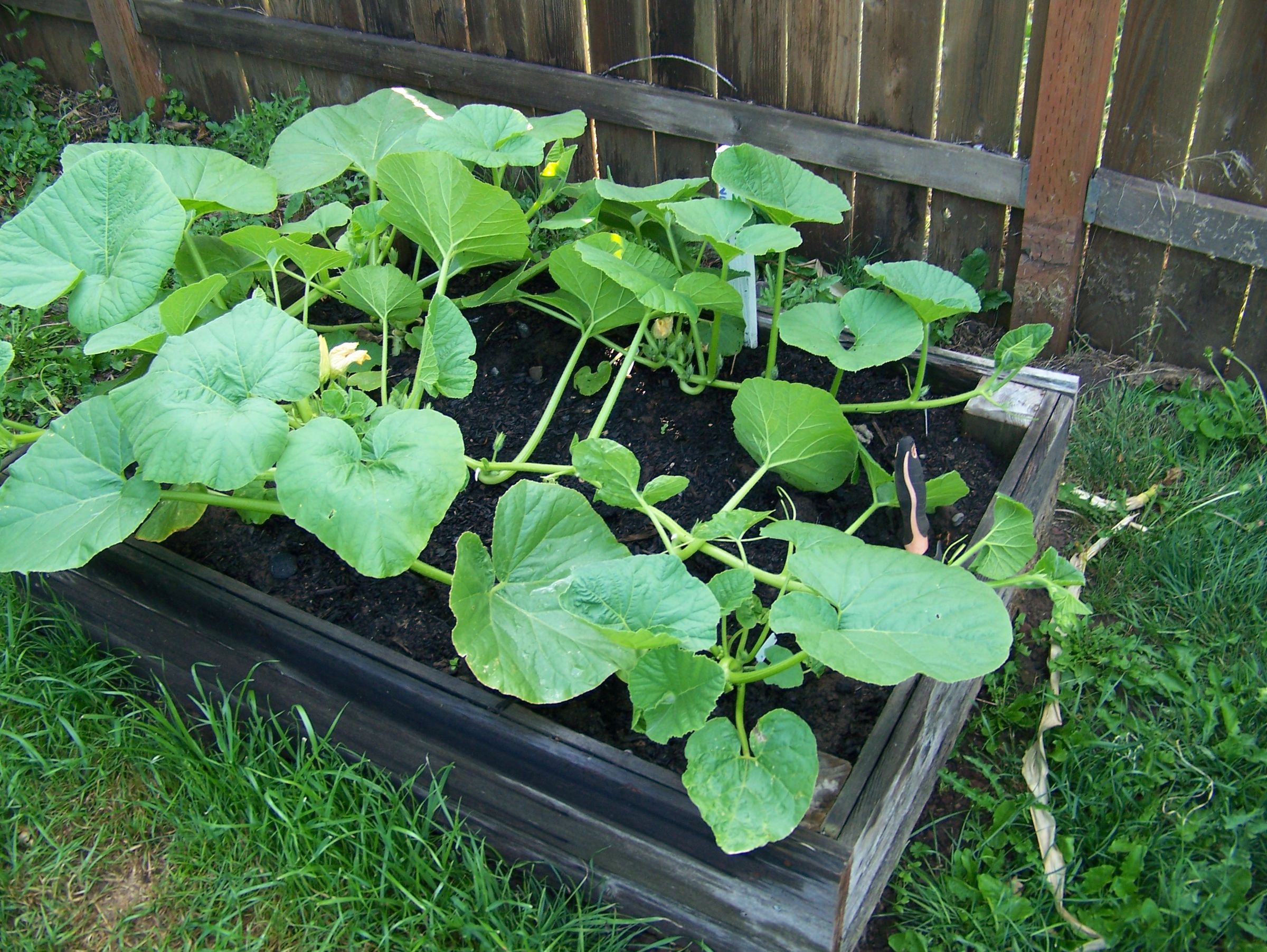 Raised Garden Beds (and More!) From Reclaimed Wood : 8 Steps (with ...