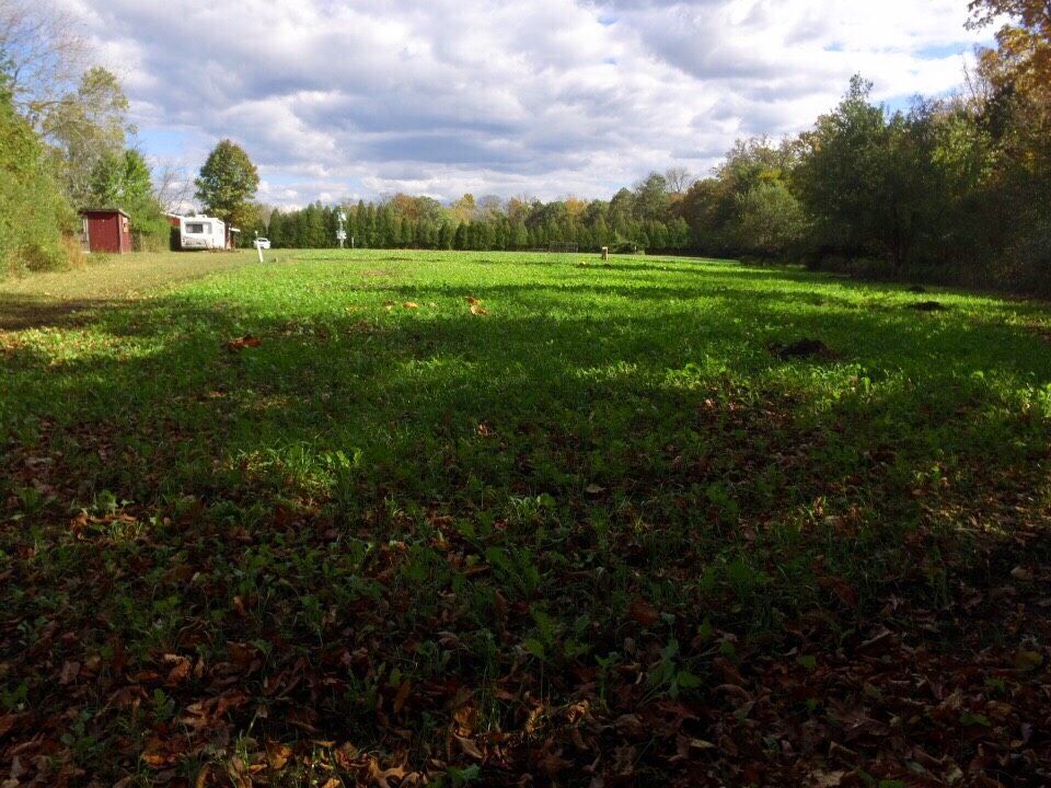 Clover Food Plot for Deer : 6 Steps (with Pictures) - Instructables