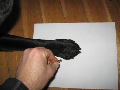10 Minute Dog Boots : 5 Steps (with Pictures) - Instructables