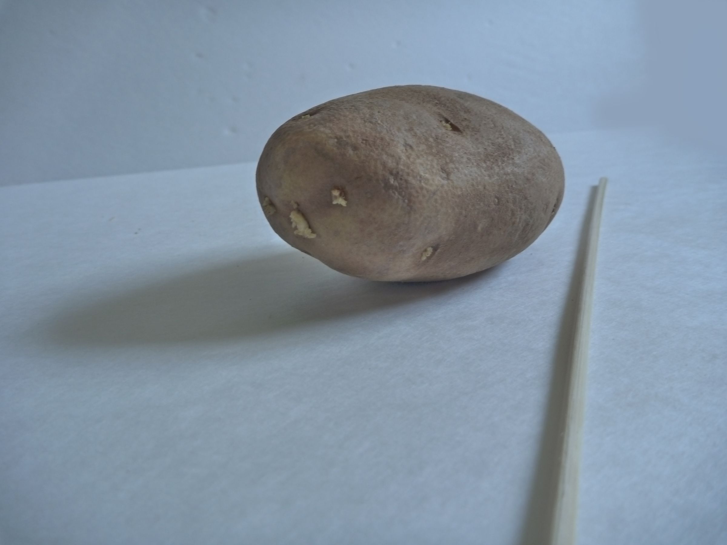 Spiral Cut Potatoes : 8 Steps (with Pictures) - Instructables