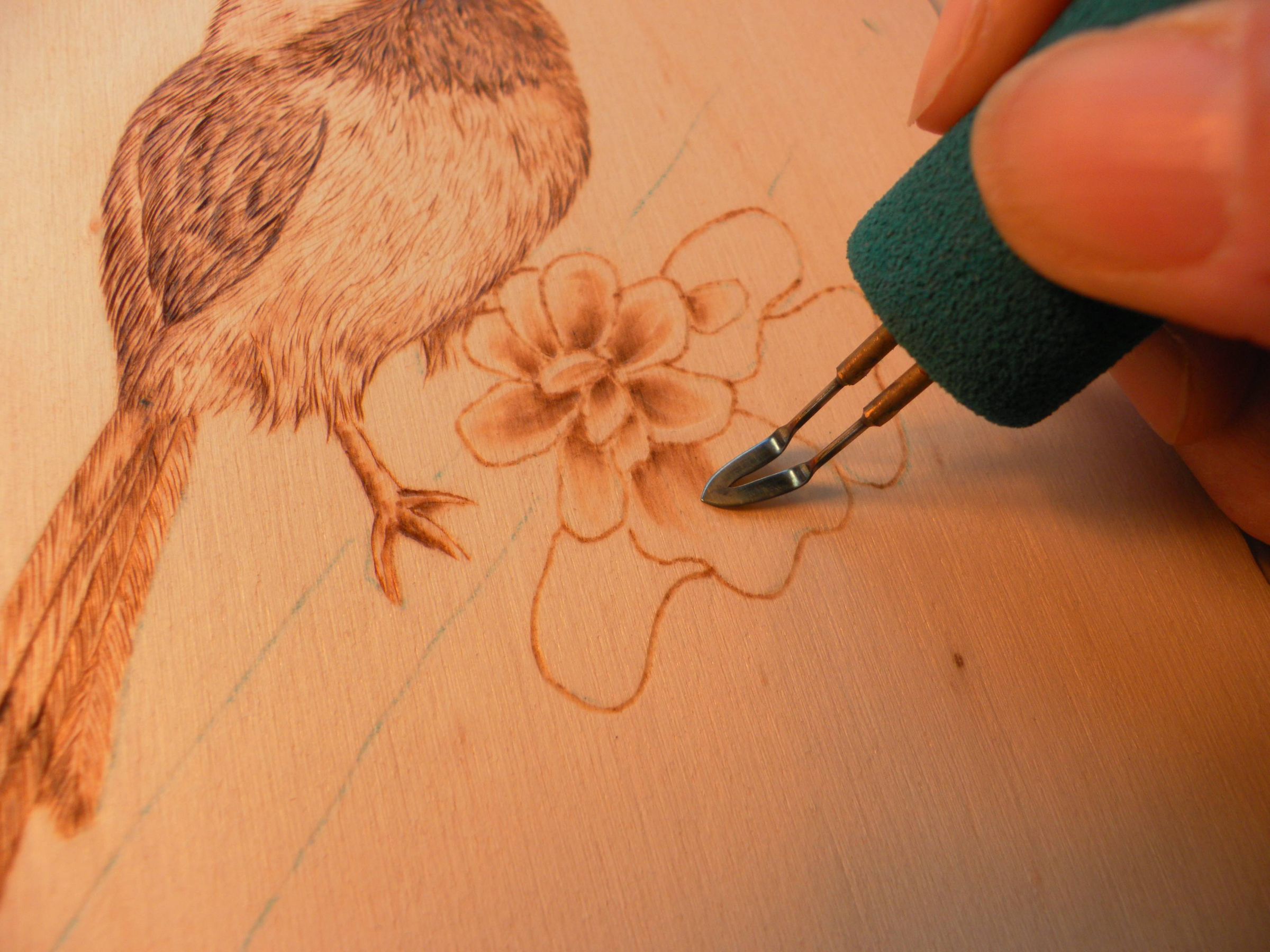 Pyrography: Step by Step Burn a Chickadee : 10 Steps (with Pictures ...