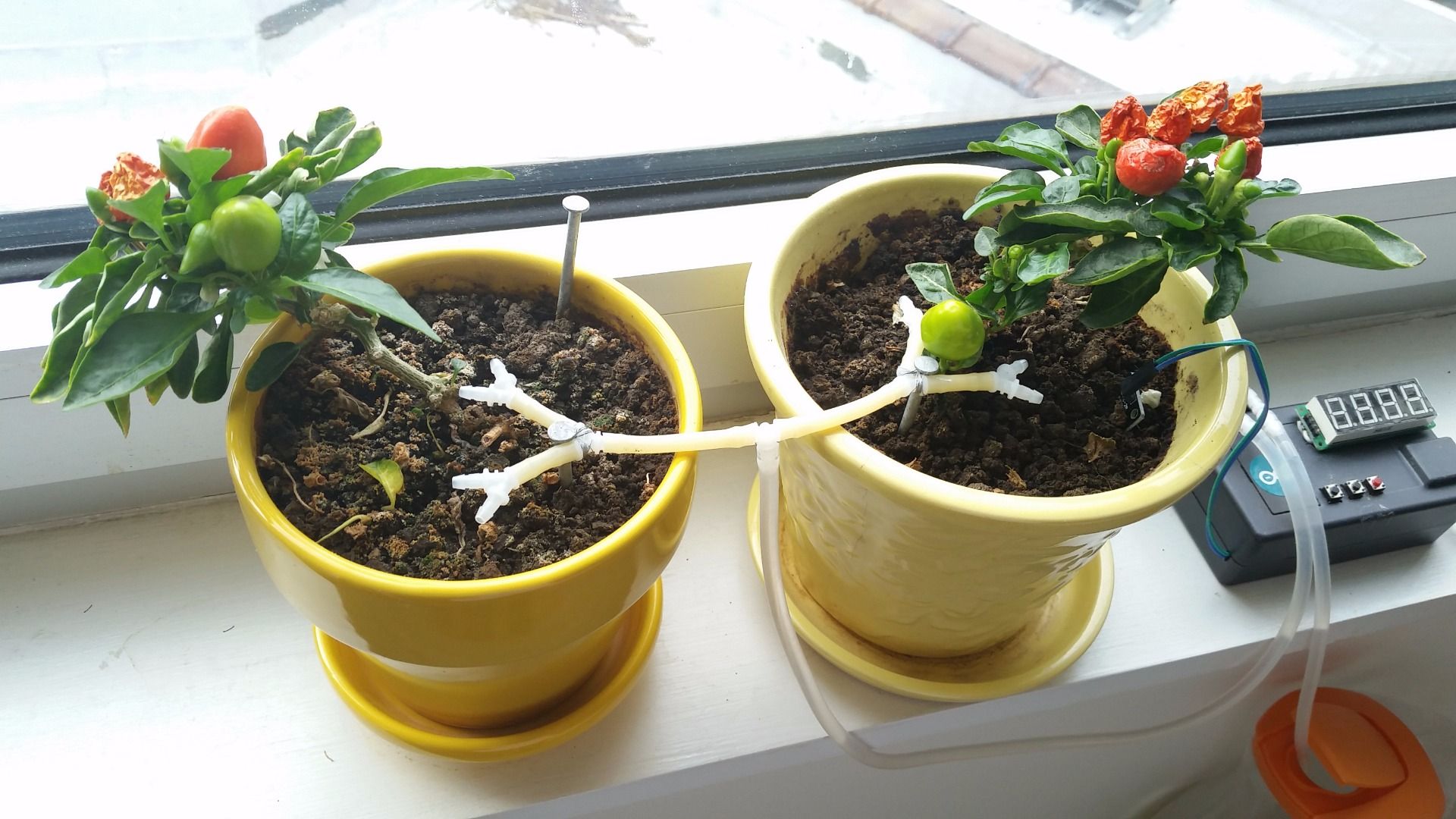 APIS - Automated Plant Irrigation System : 12 Steps (with Pictures ...