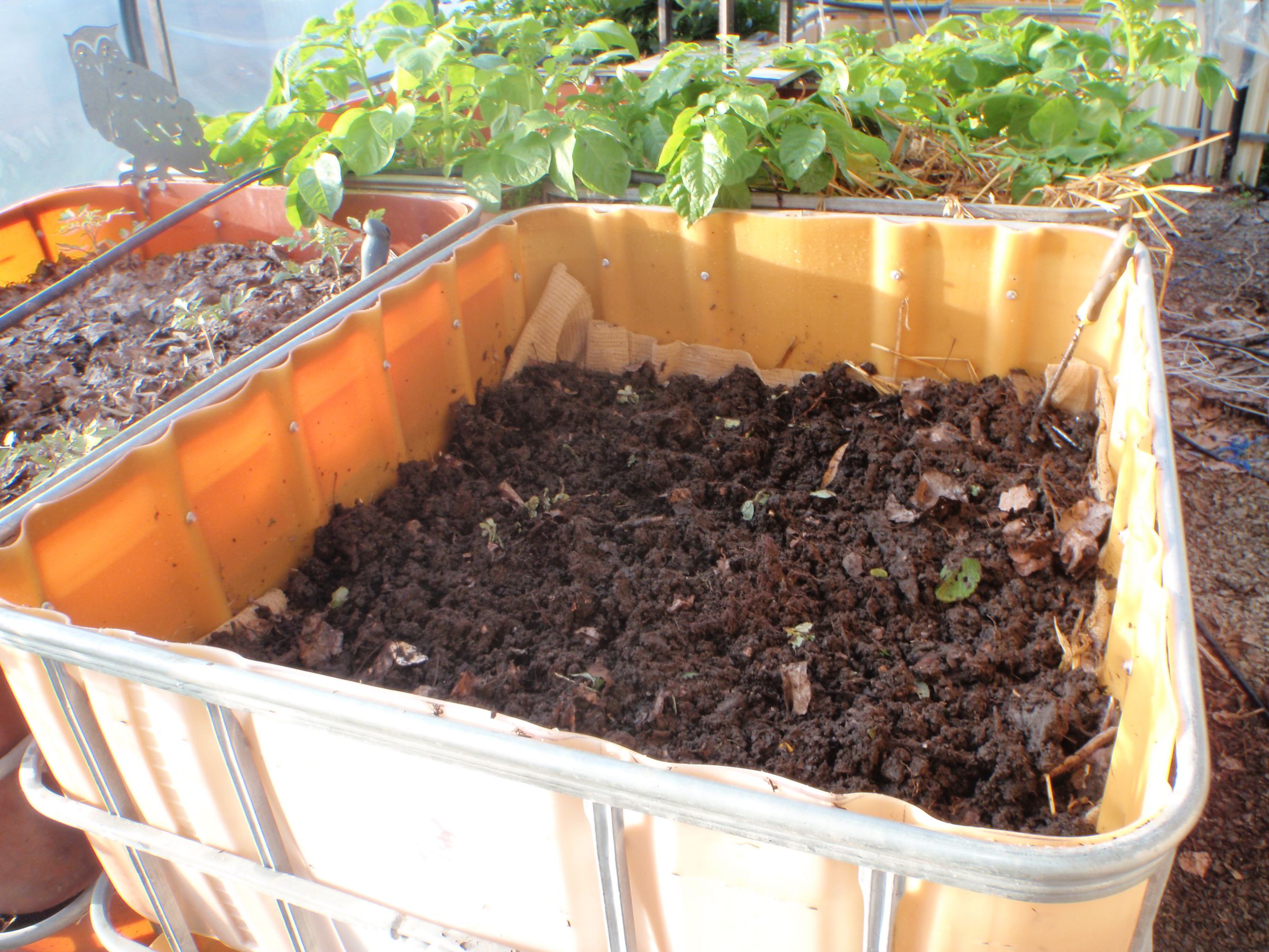 Vermiponic Garden : 12 Steps (with Pictures) - Instructables