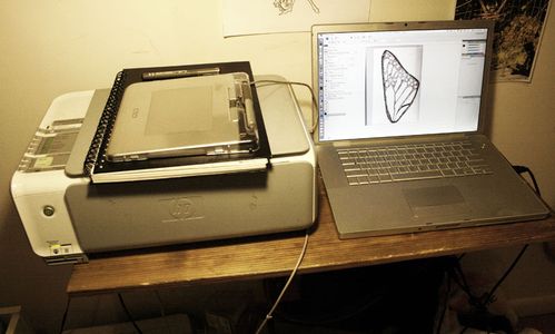 Hand Drawn to Digital Illustrations : 7 Steps (with Pictures ...