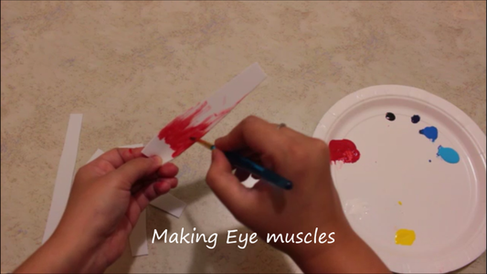 How to Make 3D Human Eye Model: Easy Way - Instructables