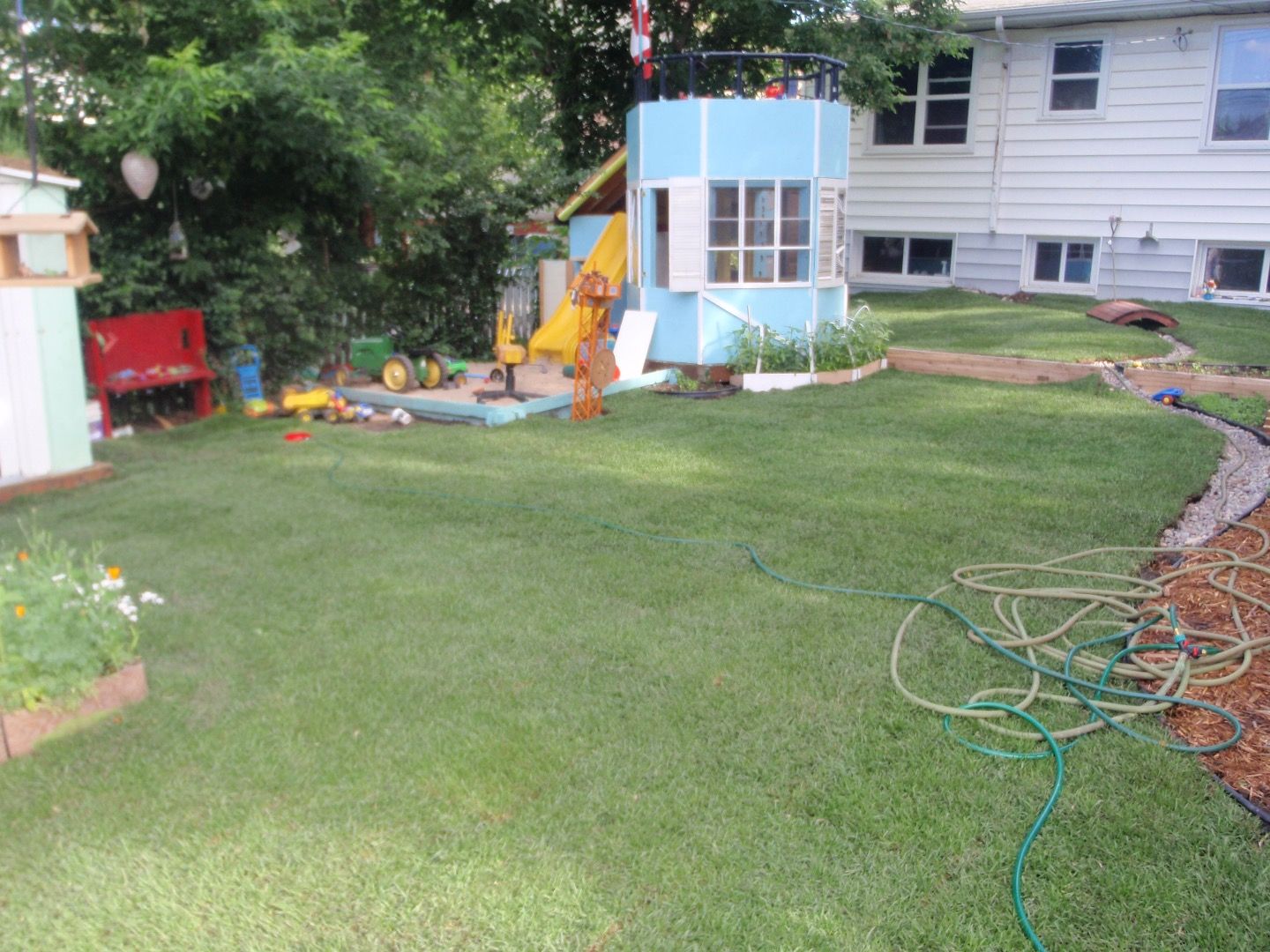 Restore a Backyard With Dead Soil (Before and After) : 9 Steps (with ...