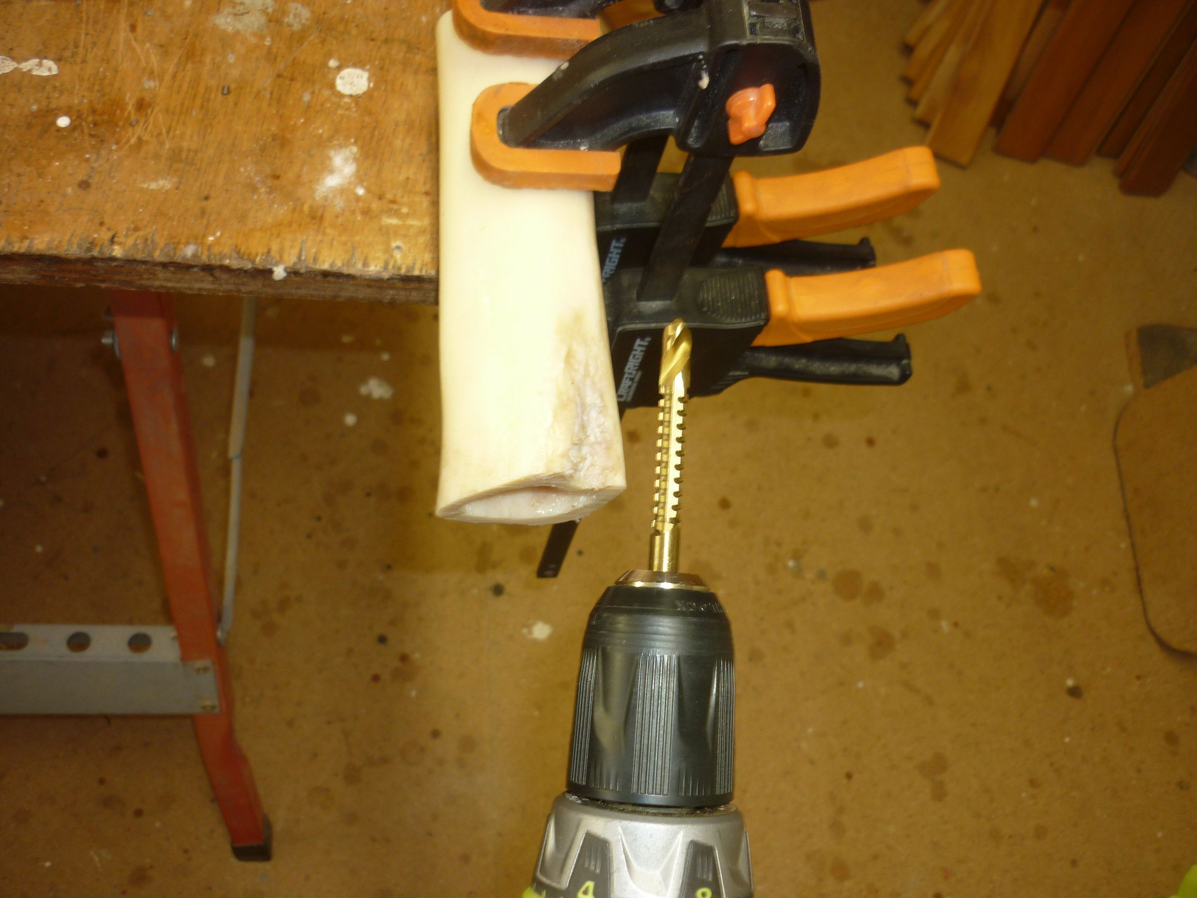 Prepare Bone for Carving : 8 Steps - Instructables
