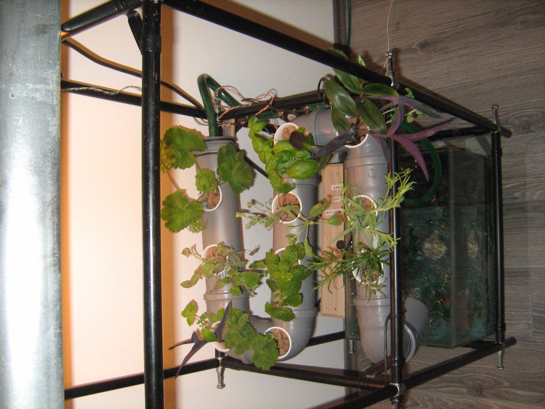 IoT NFT Aquaponic System Controler With WebApp (Intel Edison & Node.js ...