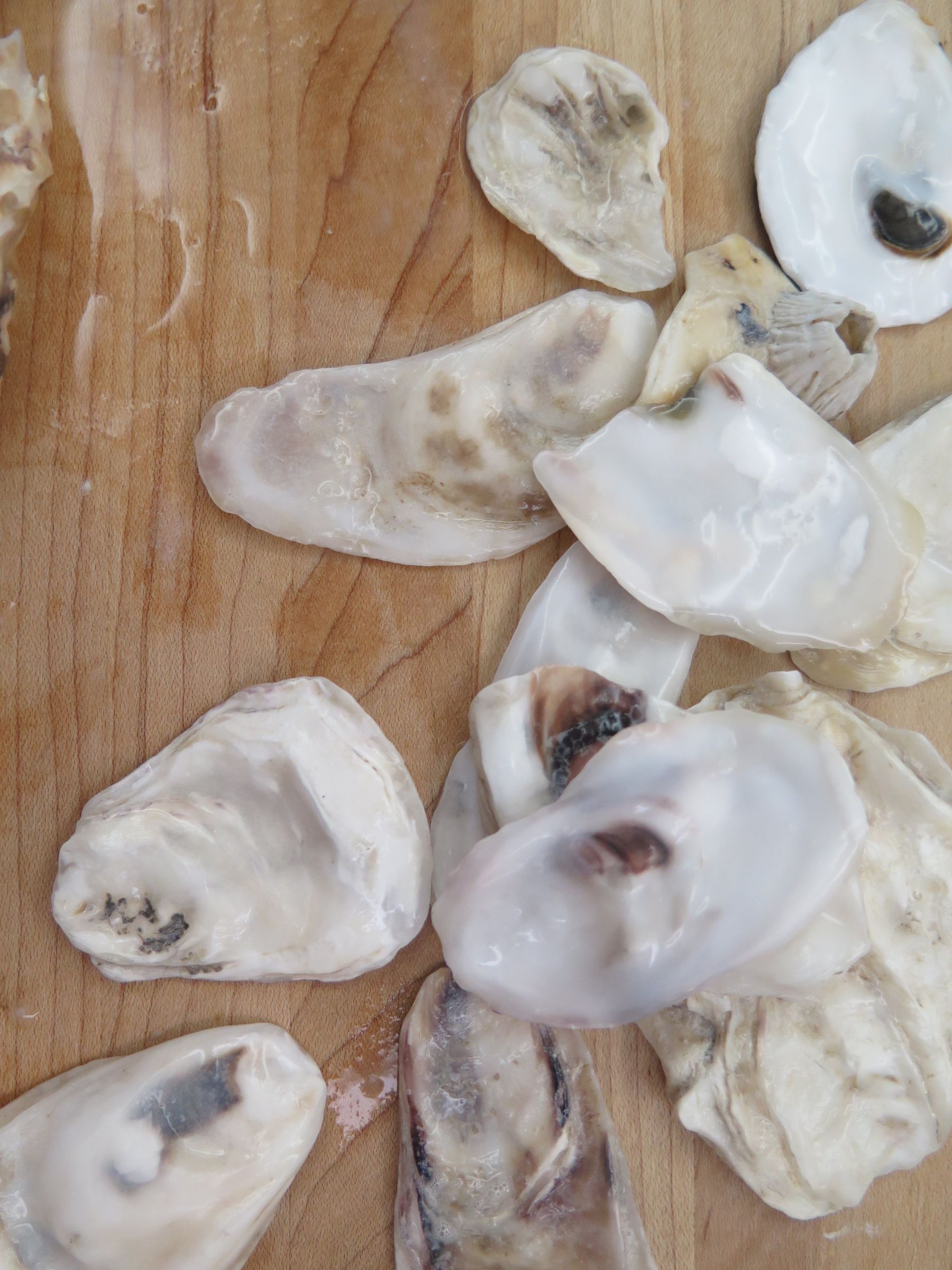 Oyster Shell Tiles : 9 Steps (with Pictures) - Instructables