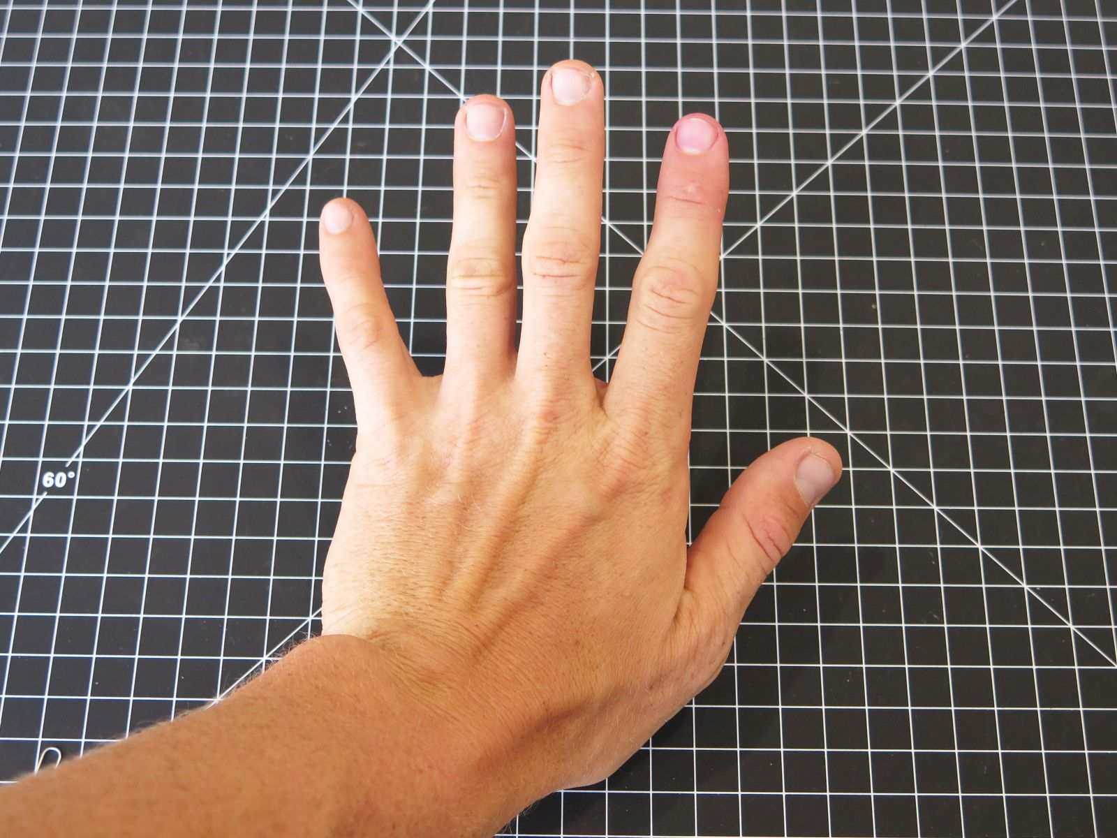 Chicken Foot Dissection : 7 Steps - Instructables