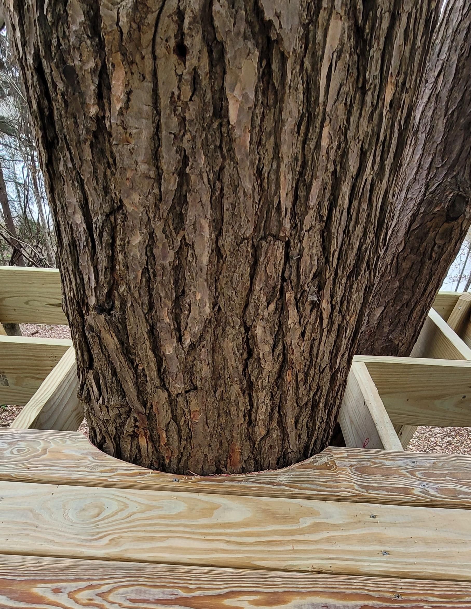 Tree Stand Blind : 12 Steps (with Pictures) - Instructables