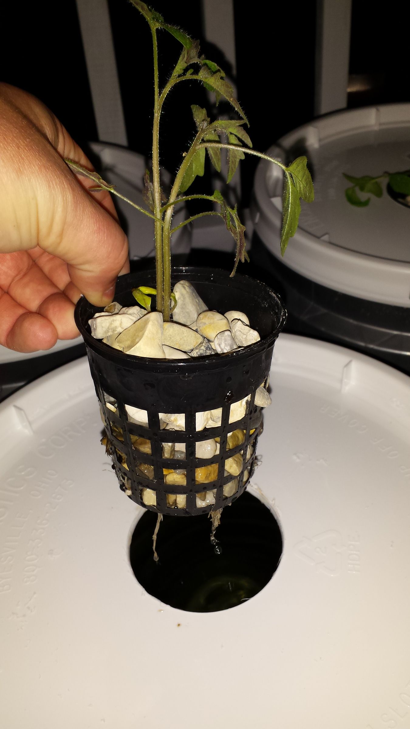 Pumpless (off Grid) Hydroponics With 5 Gallon Buckets - Instructables