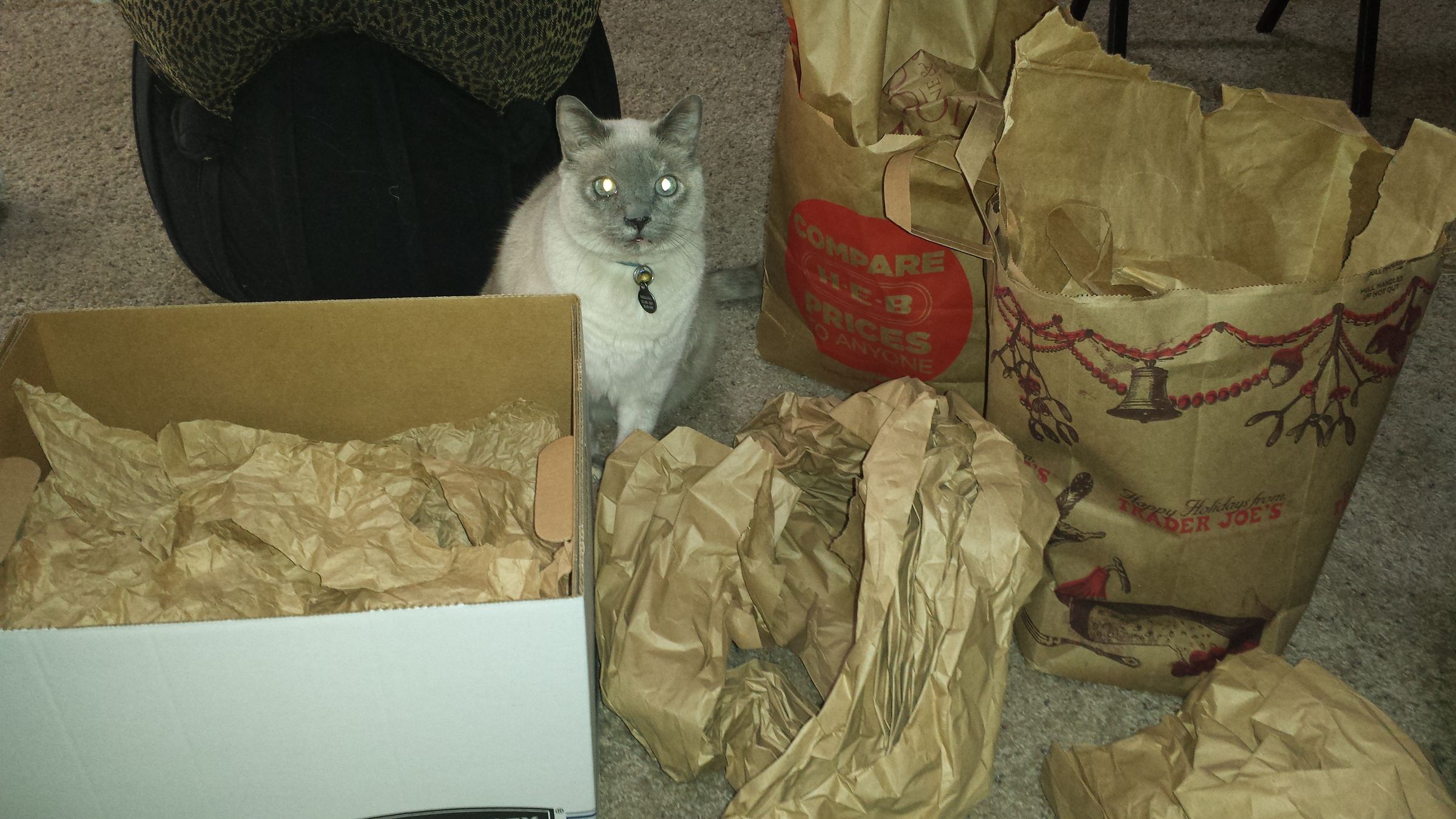 Paper Bag Floors : 7 Steps (with Pictures) - Instructables