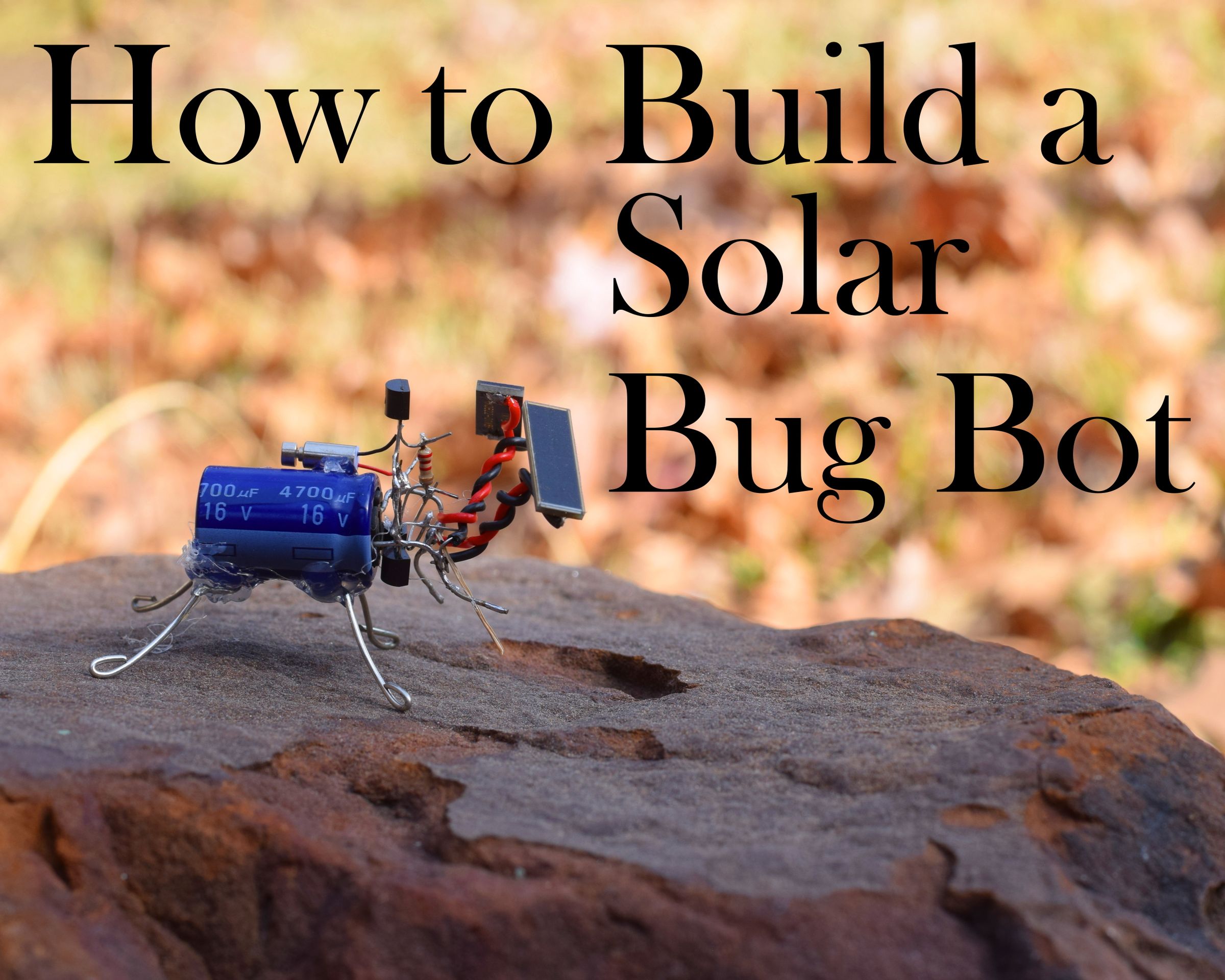 Make a Solar Powered Bug Robot : 9 Steps (with Pictures) - Instructables