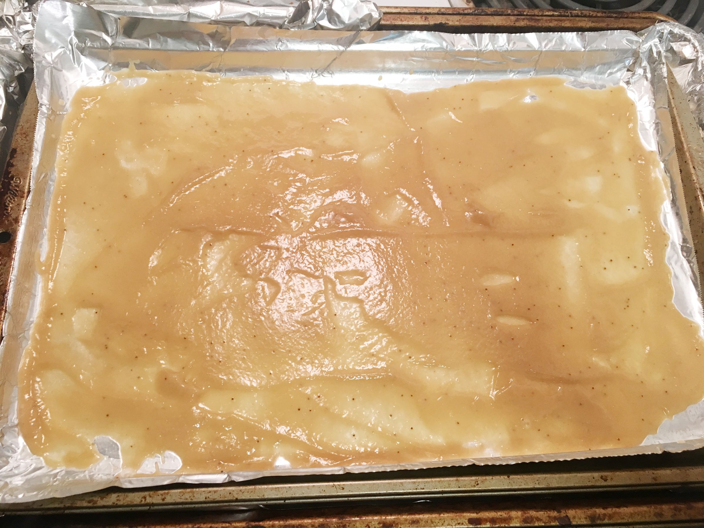 Banana Fruit Leather : 6 Steps - Instructables