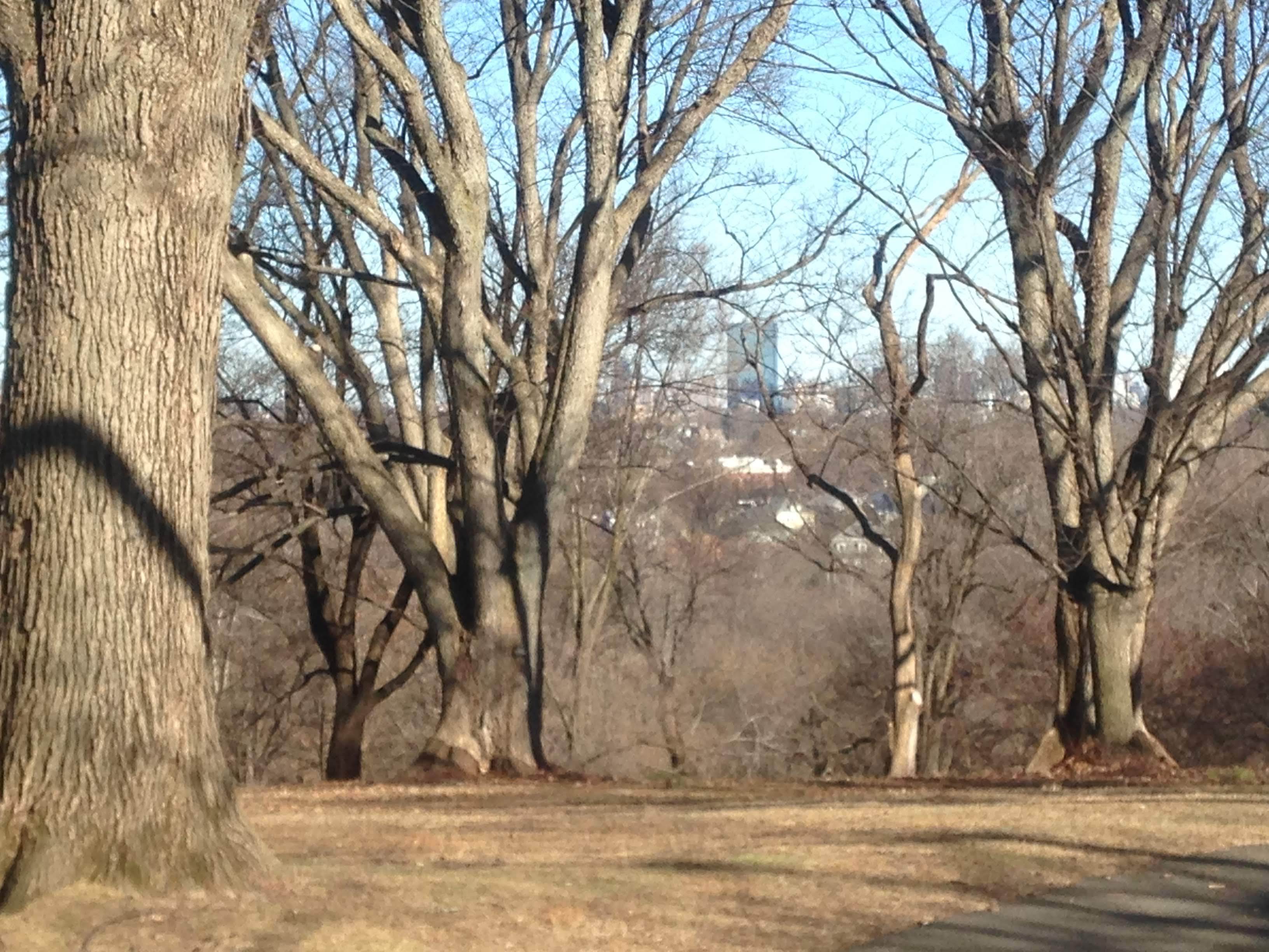 Multi Level Tree House From Recycled Materials : 10 Steps (with ...