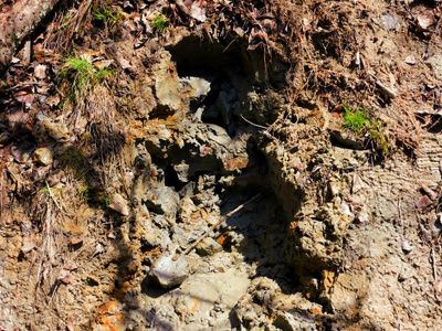 Finding and Processing Your Own Natural Clay : 5 Steps (with Pictures ...
