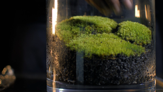 Make a Mini Graveyard Terrarium : 6 Steps (with Pictures) - Instructables