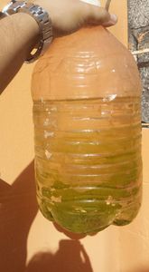 Basics of Hydroponics System - Floating Root Technique : 8 Steps (with ...