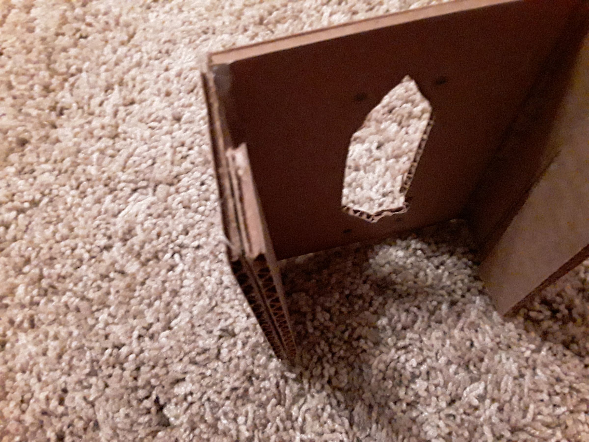 Cardboard Fire Alarm Pull Station/Call Point : 4 Steps - Instructables