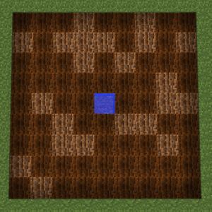 Farming in Minecraft : 10 Steps (with Pictures) - Instructables