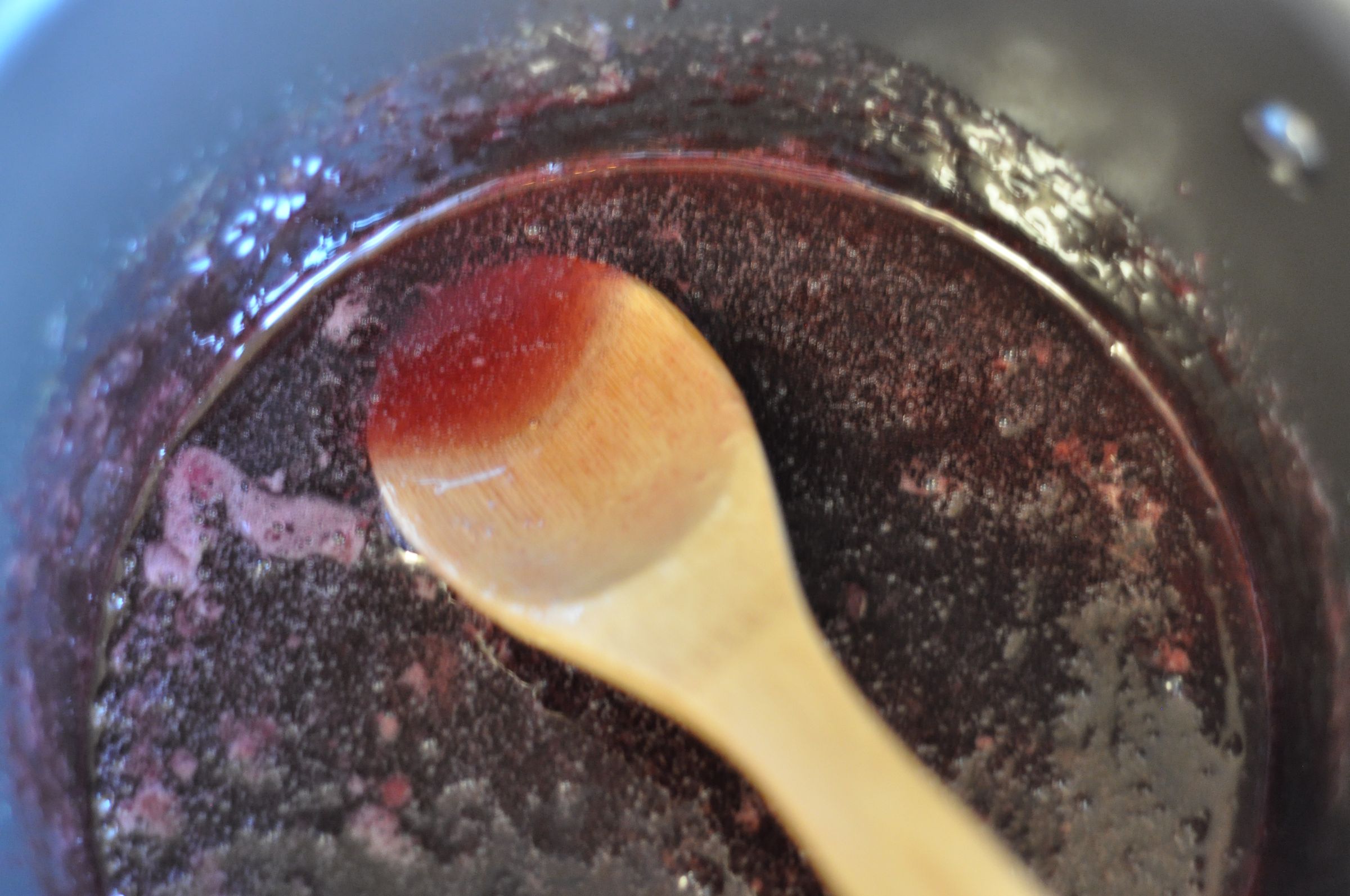 Grape Gumdrops (with Pictures) - Instructables