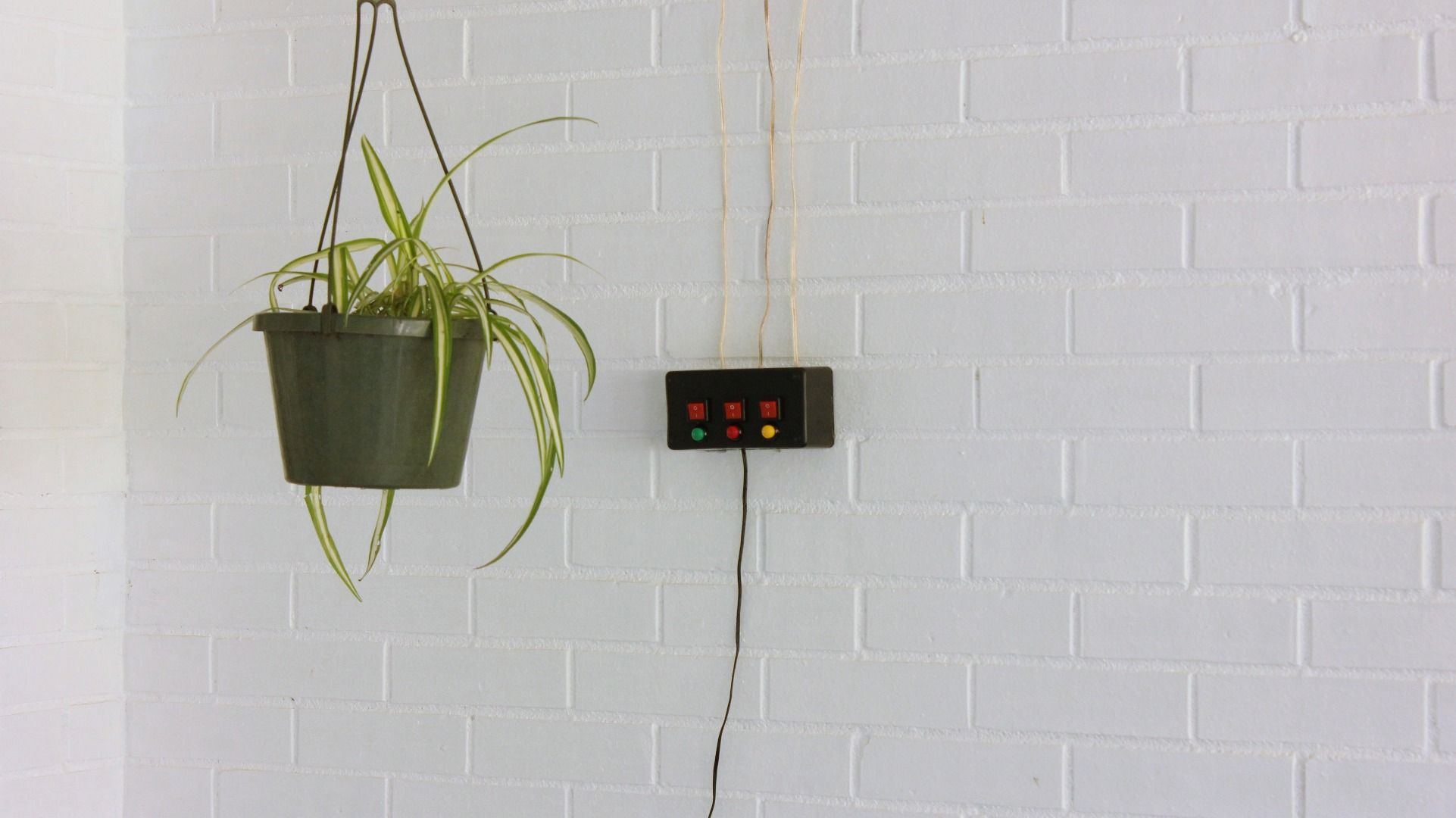 Motorized System for Raising and Lowering Hanging Plants : 13 Steps ...