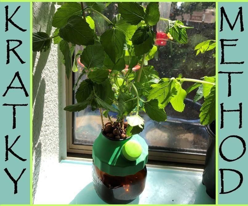 Mini Kratky Jars - Easy Hydroponics : 10 Steps (with Pictures ...
