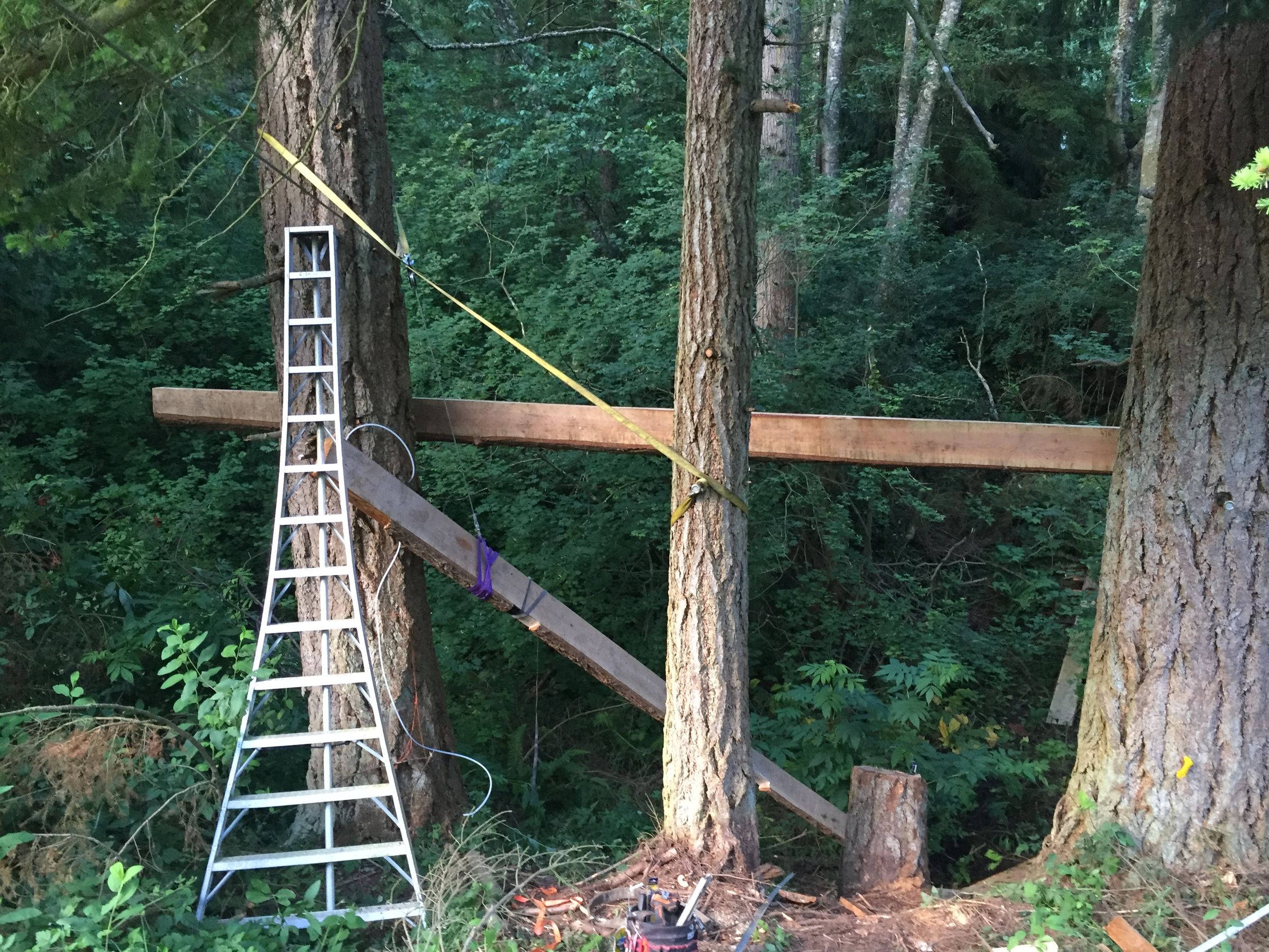 Treehouse Build : 10 Steps (with Pictures) - Instructables